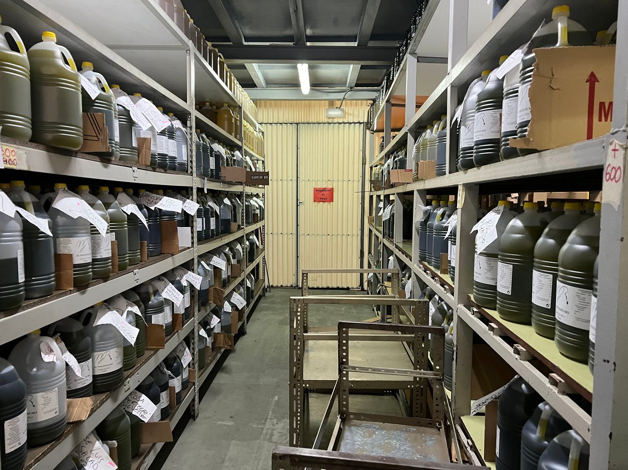 Business Plan in the Olive Oil Sector: A Complete Roadmap for Investors