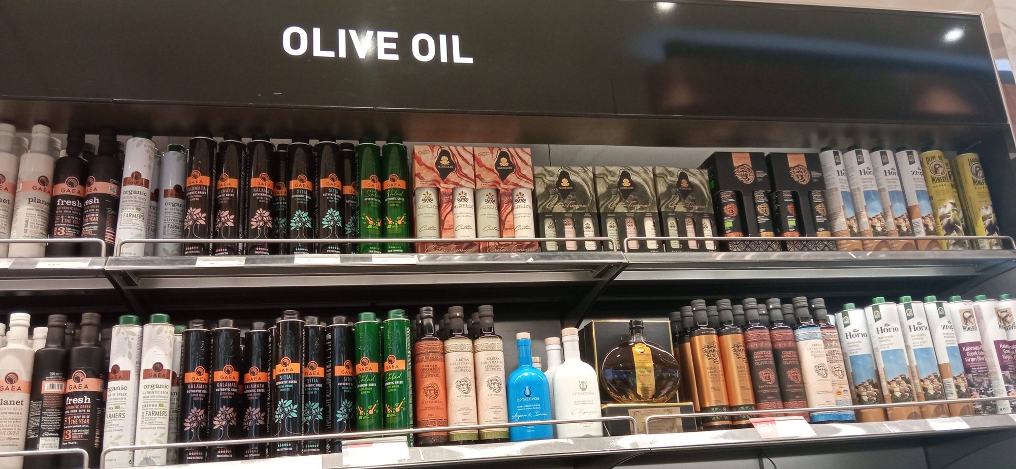 Business Plan in the Olive Oil Sector: A Complete Roadmap for Investors
